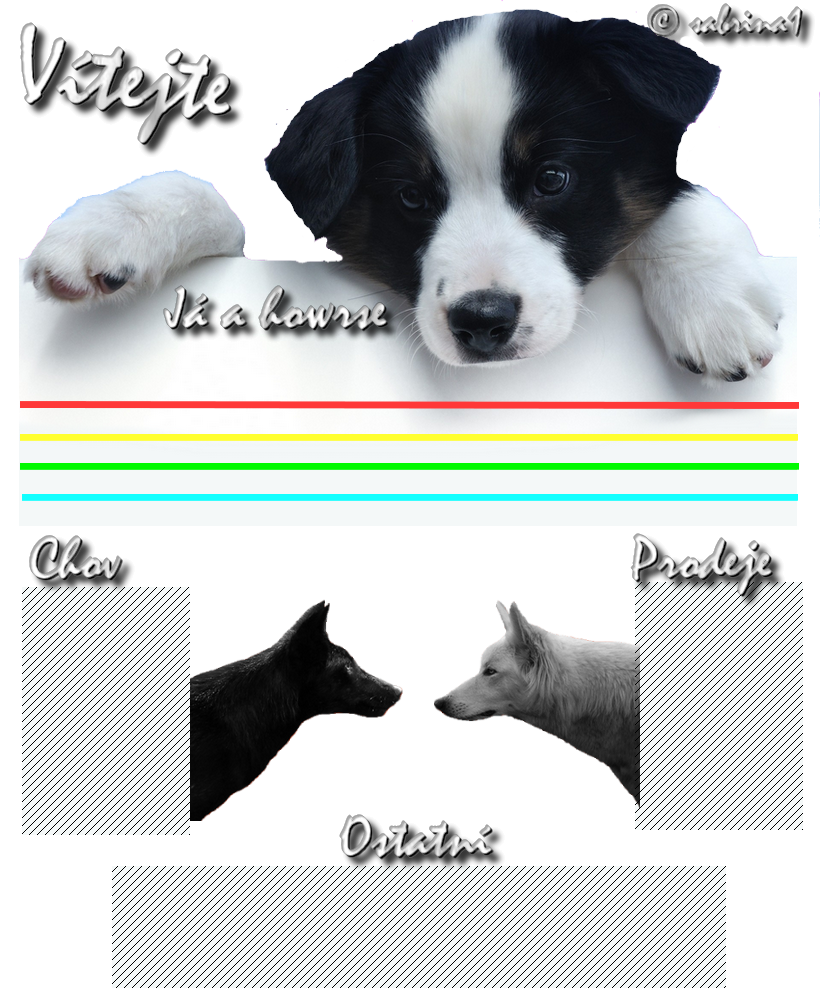 Prezentace :: Howrse-Prezentace